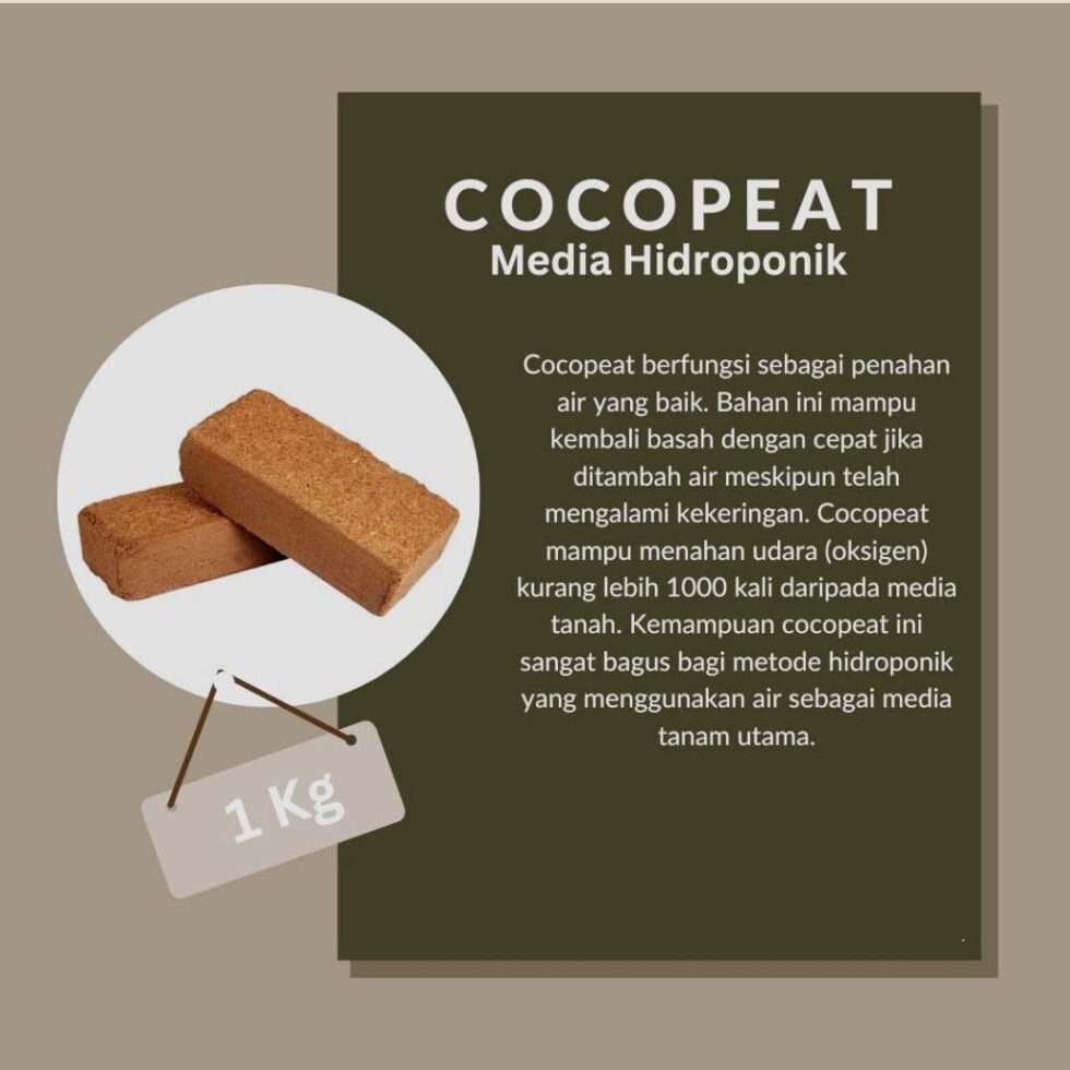 Kelebihan dan kekurangan cocopeat sebagai media tanam | Oesaka Indonesia